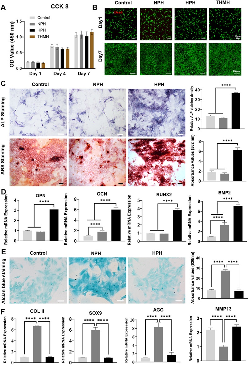 学术分享 I 3D 打印机制备拓扑分层水凝胶支架 实现骨软骨高效再生